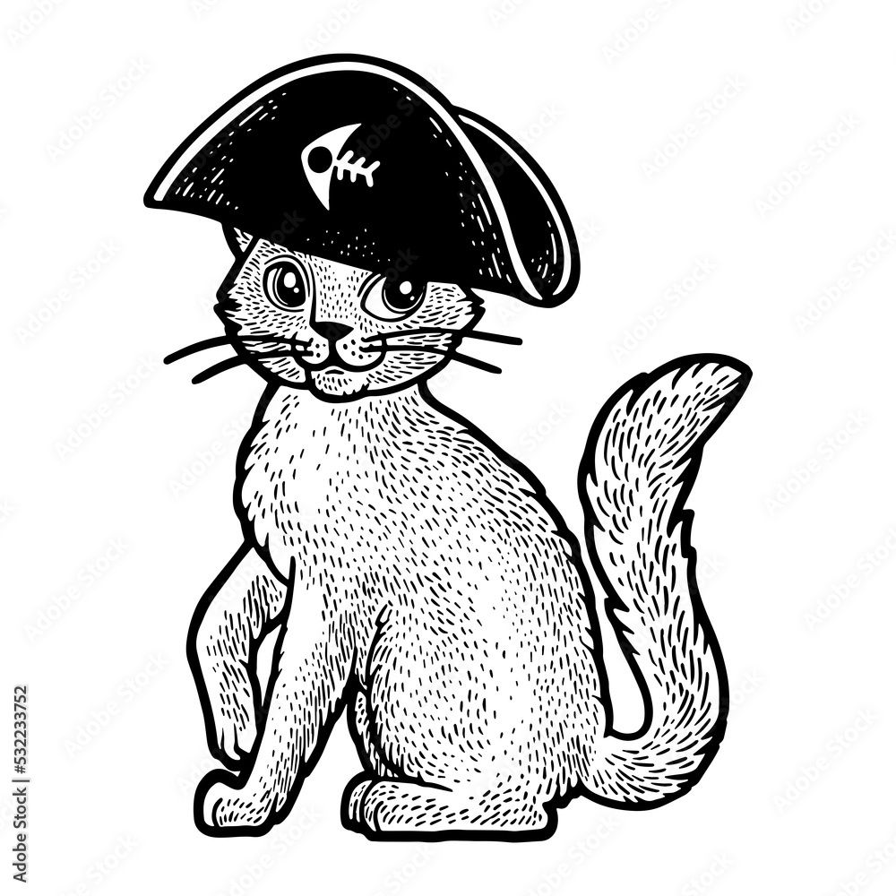 Pirate cat character sketch PNG illustration with transparent ...