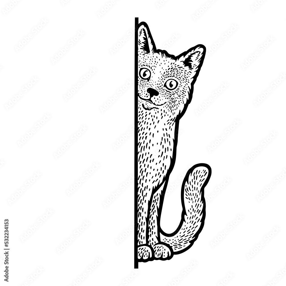 cat peeking from corner sketch PNG illustration with transparent ...