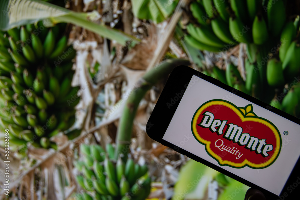 Del Monte Logo