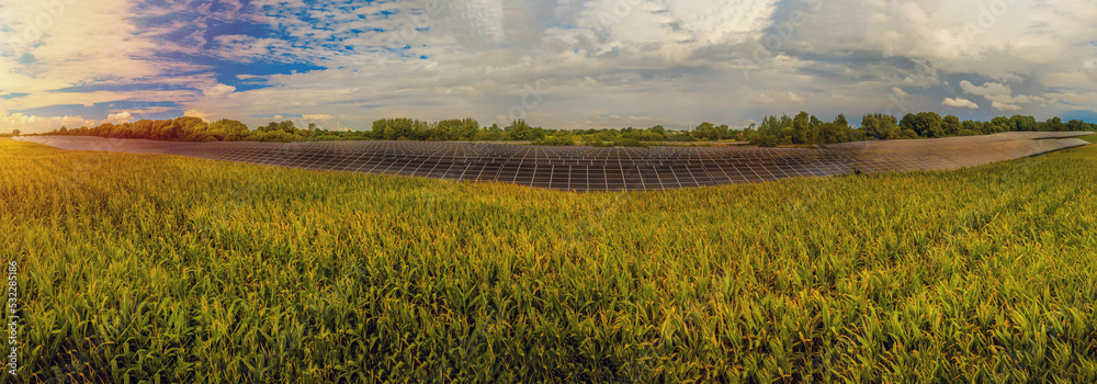 Panorama aerial view of corn field with solar panel. Countryside ...