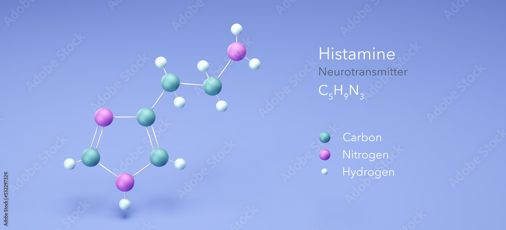 histamine, molecular structures, neurotransmitter, 3d model, Structural ...