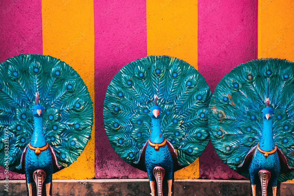 3 peacocks Stock Photo | Adobe Stock