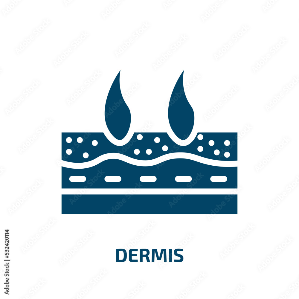 dermis icon from medical collection. Filled dermis, skin, epidermis glyph icons isolated on ...