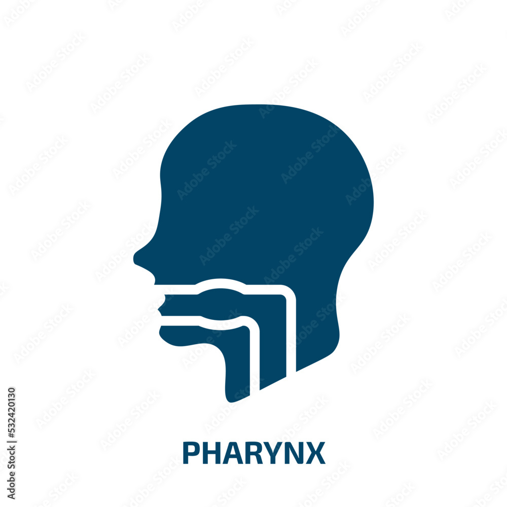 pharynx icon from medical collection. Filled pharynx, medical, human glyph icons isolated on ...