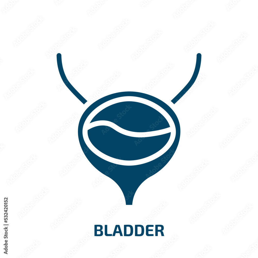 Vecteur Stock bladder icon from medical collection. Filled bladder ...
