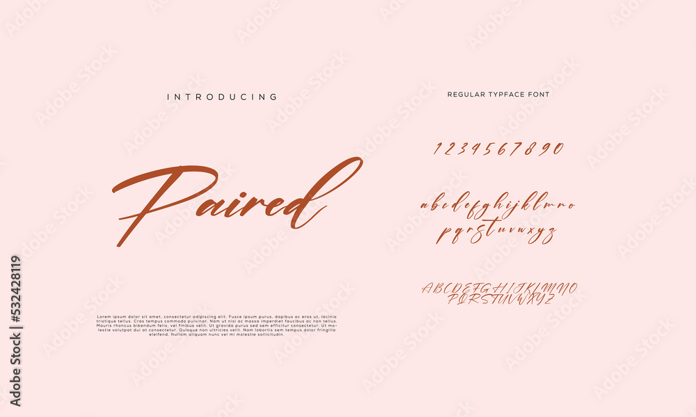 Handwritten Script font. Hand drawn brush style modern calligraphy ...