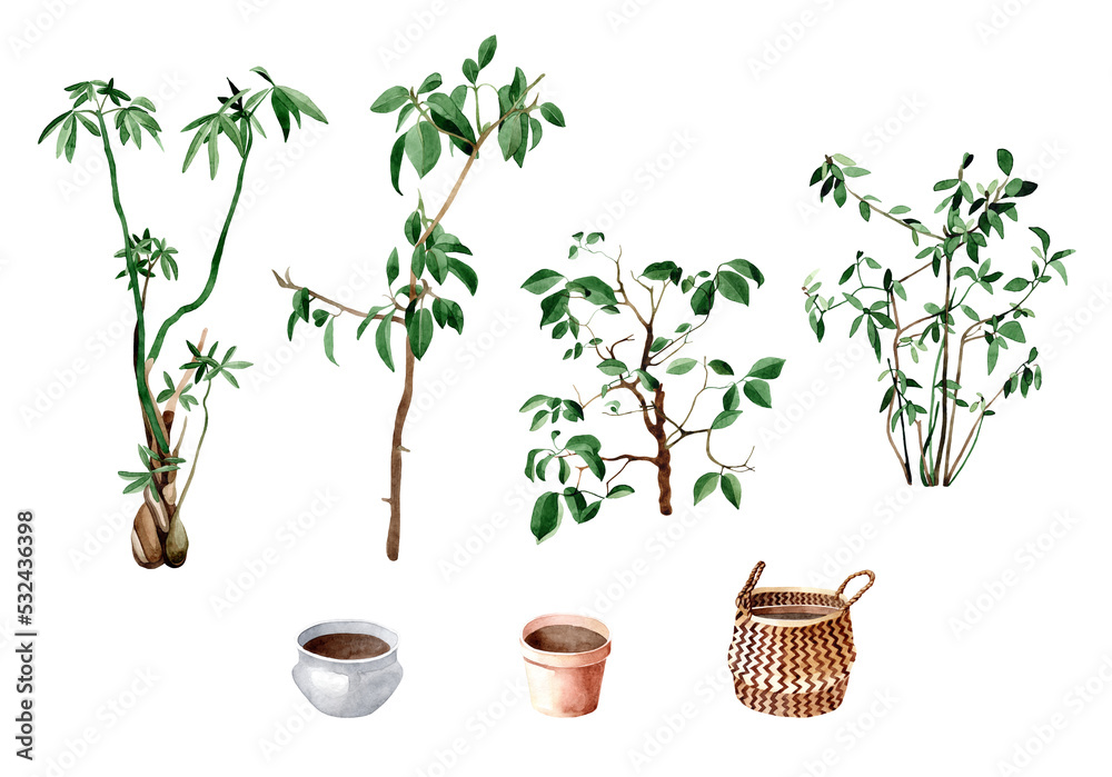 Watercolor hand painted house green plants iand flower pots. Laurel ...