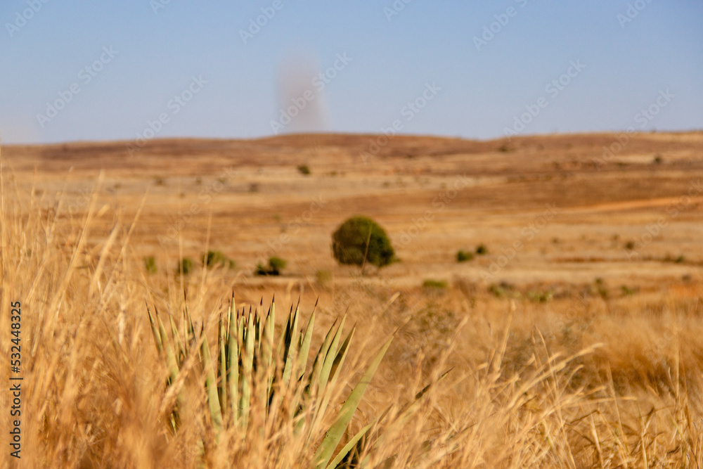 Foto de Paysage de savane dans le sud de Madagascar, réchauffement ...