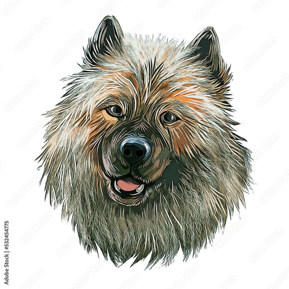 Keeshond Dog Breed Watercolor Sketch Hand Drawn Painting Silhouette ...