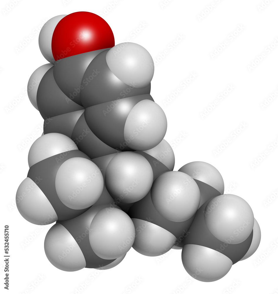 Nonylphenol endocrine disruptor molecule (one isomer shown), 3D ...