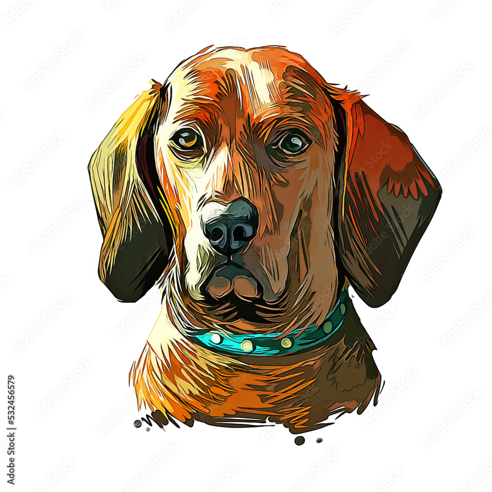 Redbone Coonhound Dog Breed Watercolor Sketch Hand Drawn Painting ...