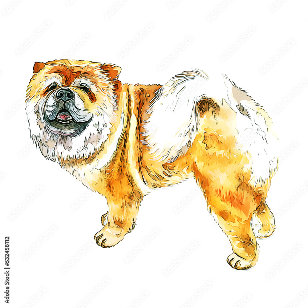 Vetor de Chow Chow Dog Breed Watercolor Sketch Hand Drawn Painting ...