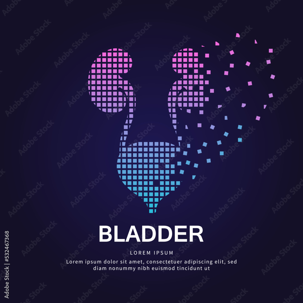 Human bladder medical structure. Pixel art Vector logo bladder color ...