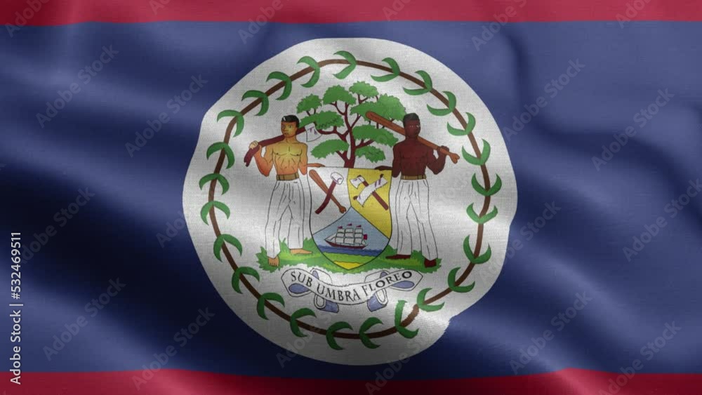 Flag Of Belize - Belize Flag High Detail - National flag Belize wave ...