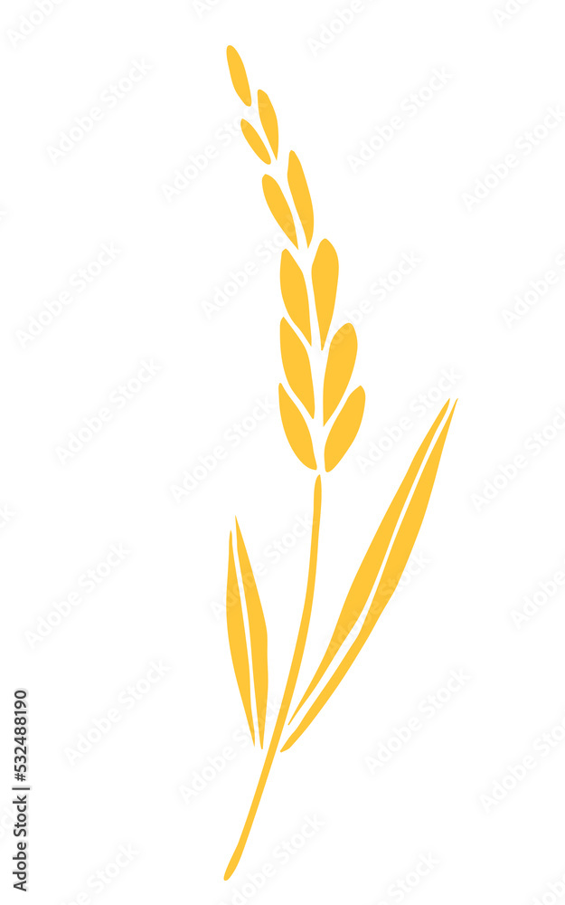 Simple hand-drawn vector drawing. Gold spikelet of wheat isolated on ...