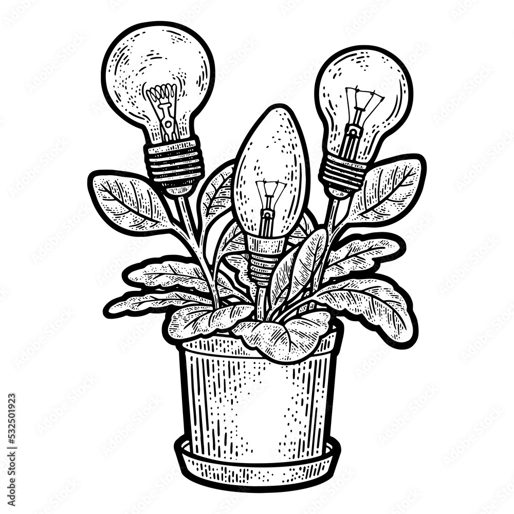 light bulb plant sketch PNG illustration with transparent background ...
