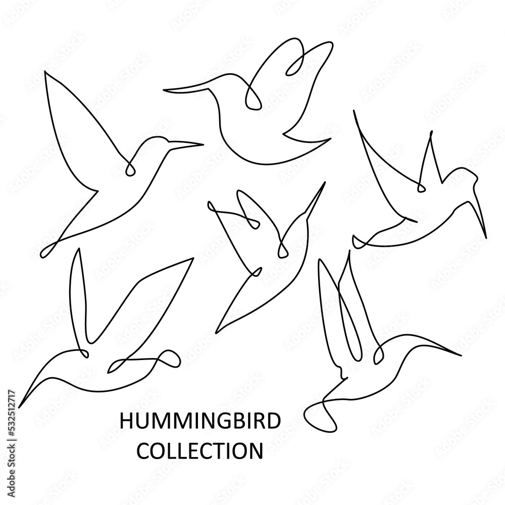 One continuous line drawing of cute hummingbird set in png with ...