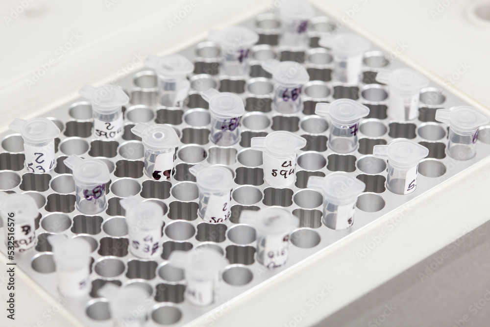 Closeup of test tubes at a thermal cycler block in a molecular biology ...