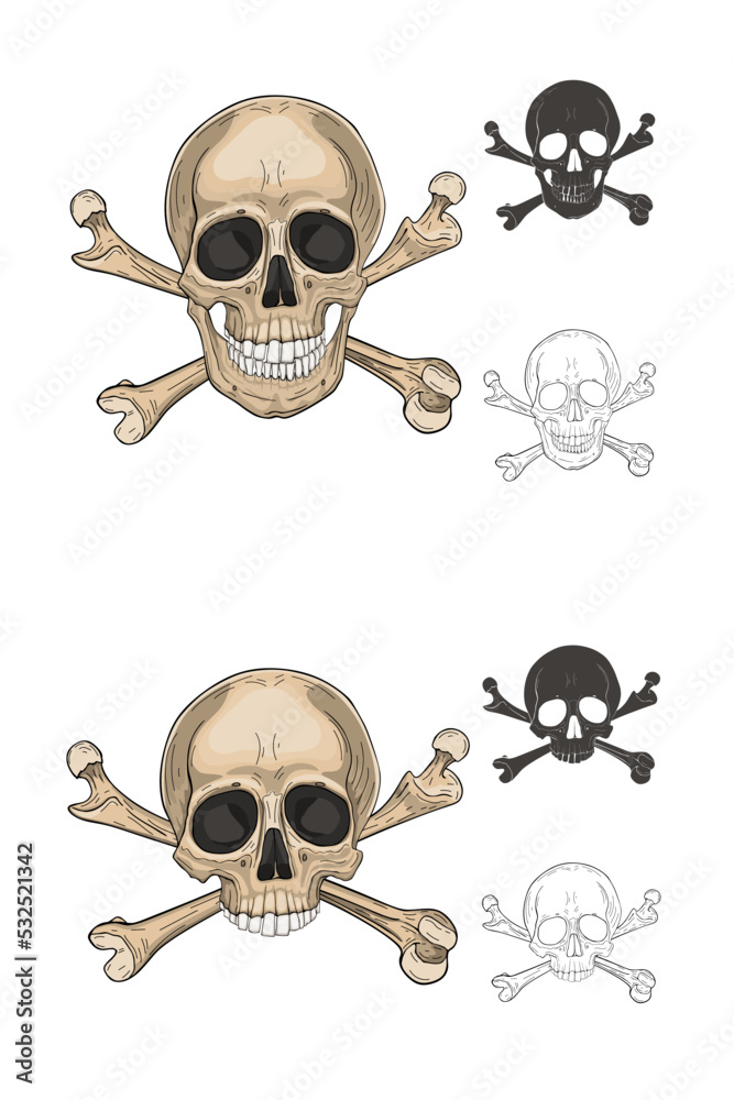 Human skull with bones isolated on white. Hand drawn skull illustration ...