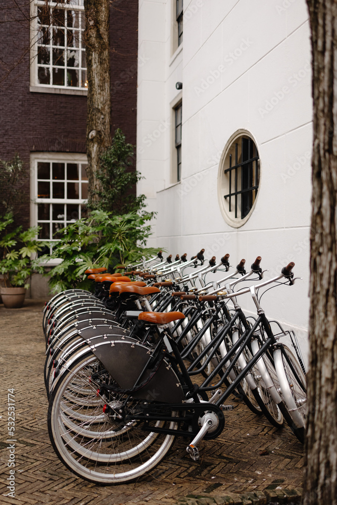 Bikes rack placed on backyard in Netherlands Stock Photo | Adobe Stock