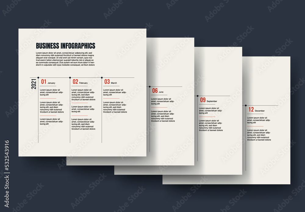 Business Annual Overview Infographics Stock Template | Adobe Stock