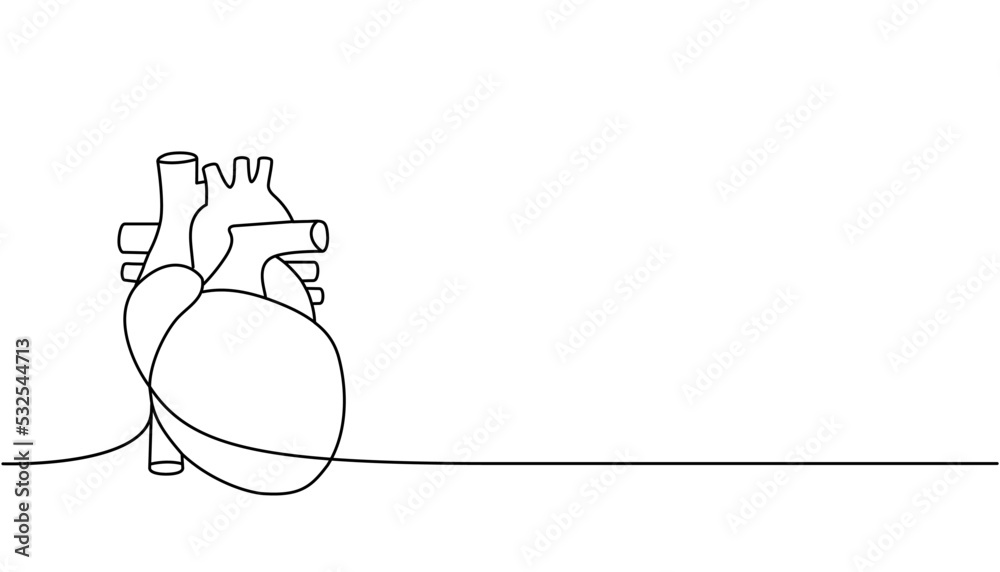 Human heart one line continuous drawing. Human organ continuous one ...