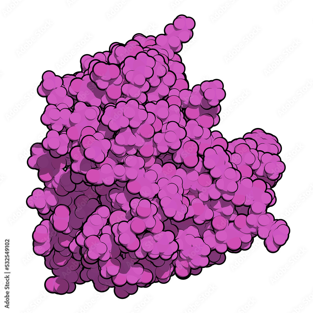 Thaumatin sweetener protein. Isolated from katemfe fruit. 3D rendering ...