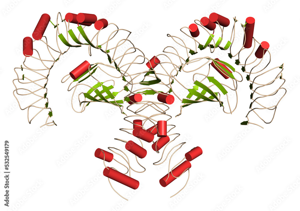 Toll-like receptor 4 (TLR4, extracellular domain) bound to ...