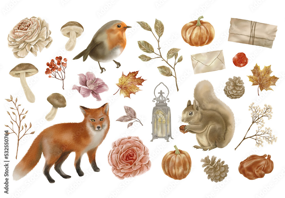 Watercolor Fall Autumn Clipart Illustrations Stock Template | Adobe Stock