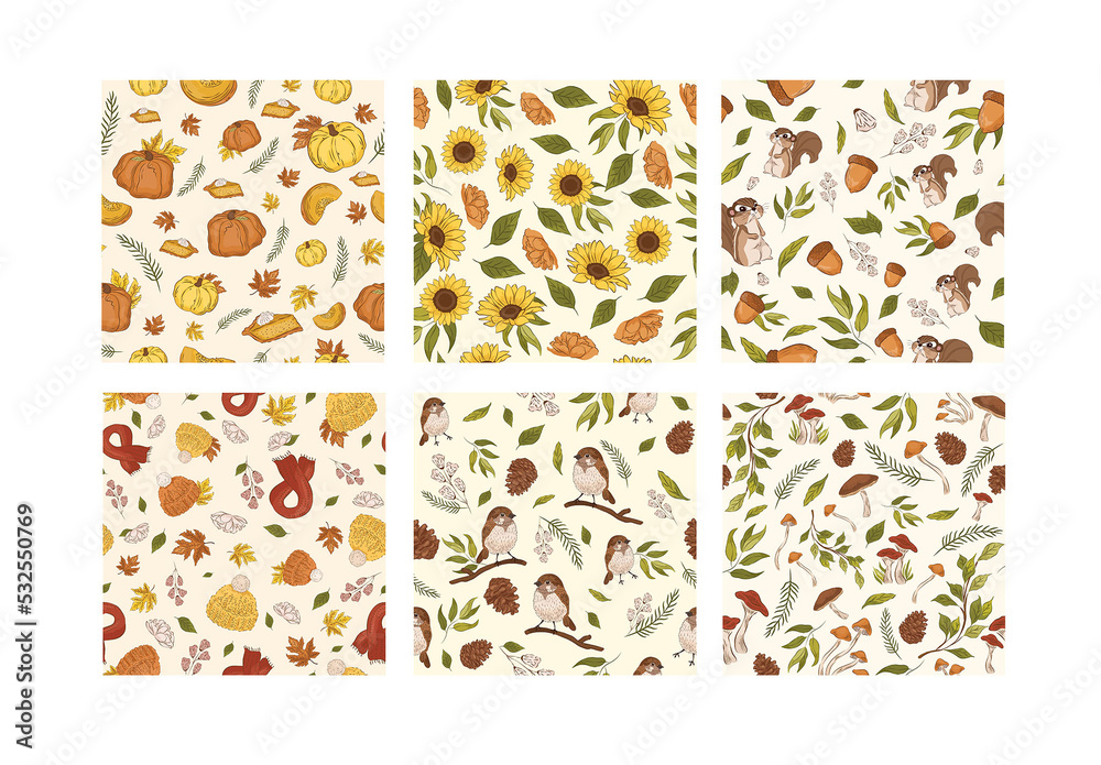 Autumn Fall Thanksgiving Patterns Stock Template | Adobe Stock