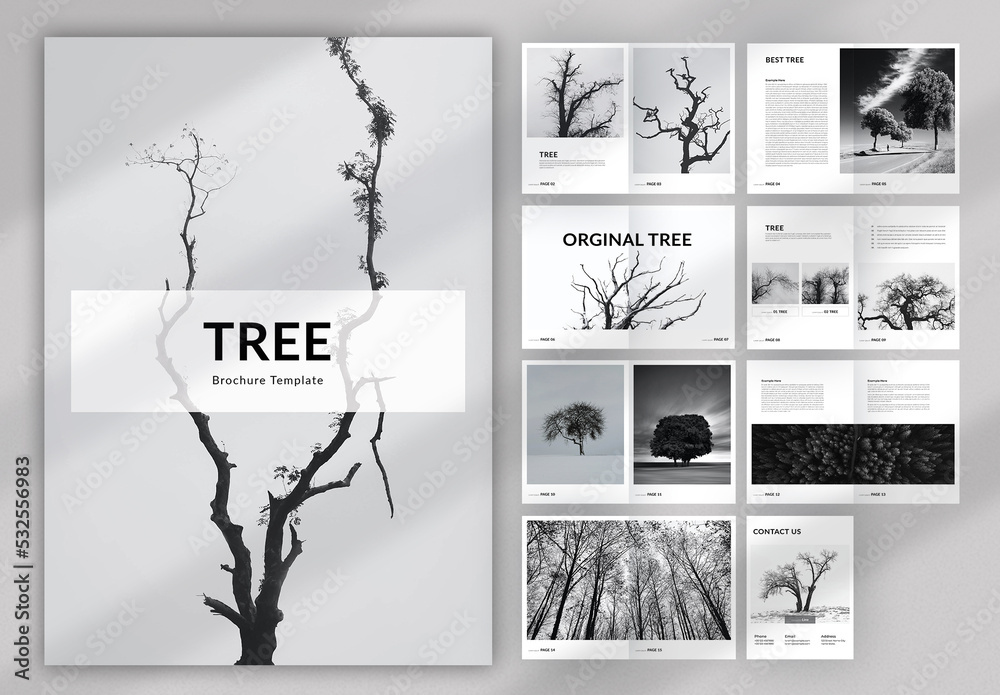 Tree Brochure Layout Stock Template | Adobe Stock