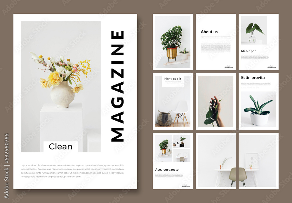 Clean Magazine Layout Stock Template | Adobe Stock