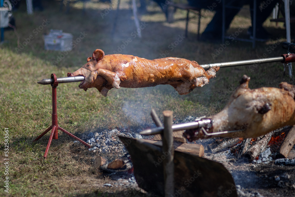 Whole pig roasted on a barbecue spit. Outdoor Barbecue grill a classic ...