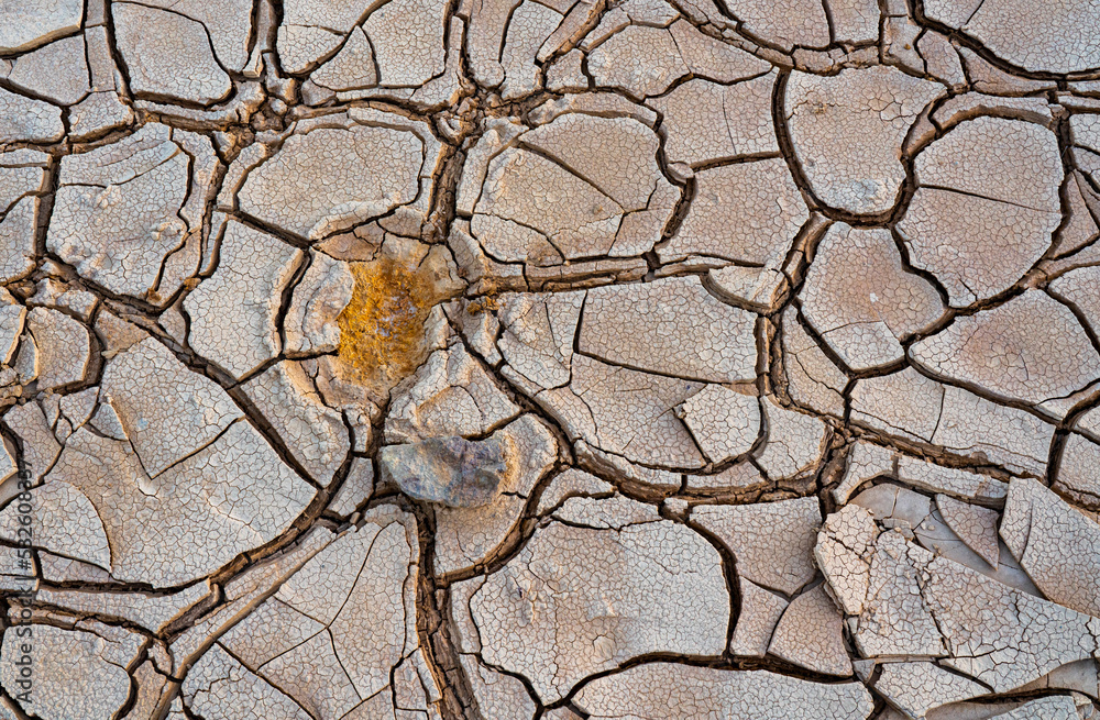 Cracked surface of dry ground Stock Photo | Adobe Stock