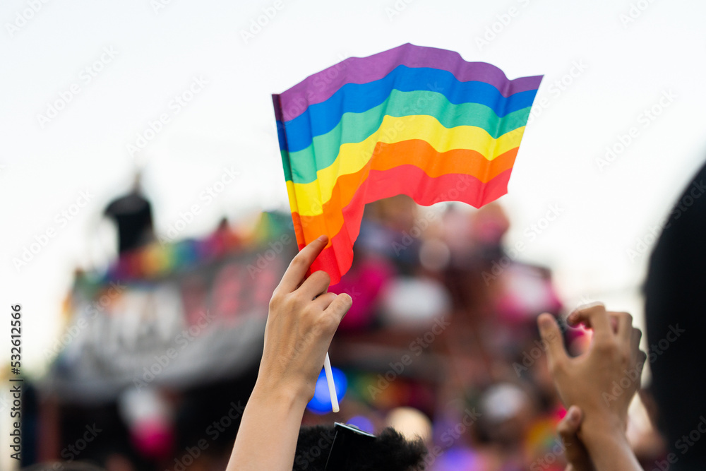 Hand Holding Rainbow Flag In The Pride Parade. Stock Photo | Adobe Stock