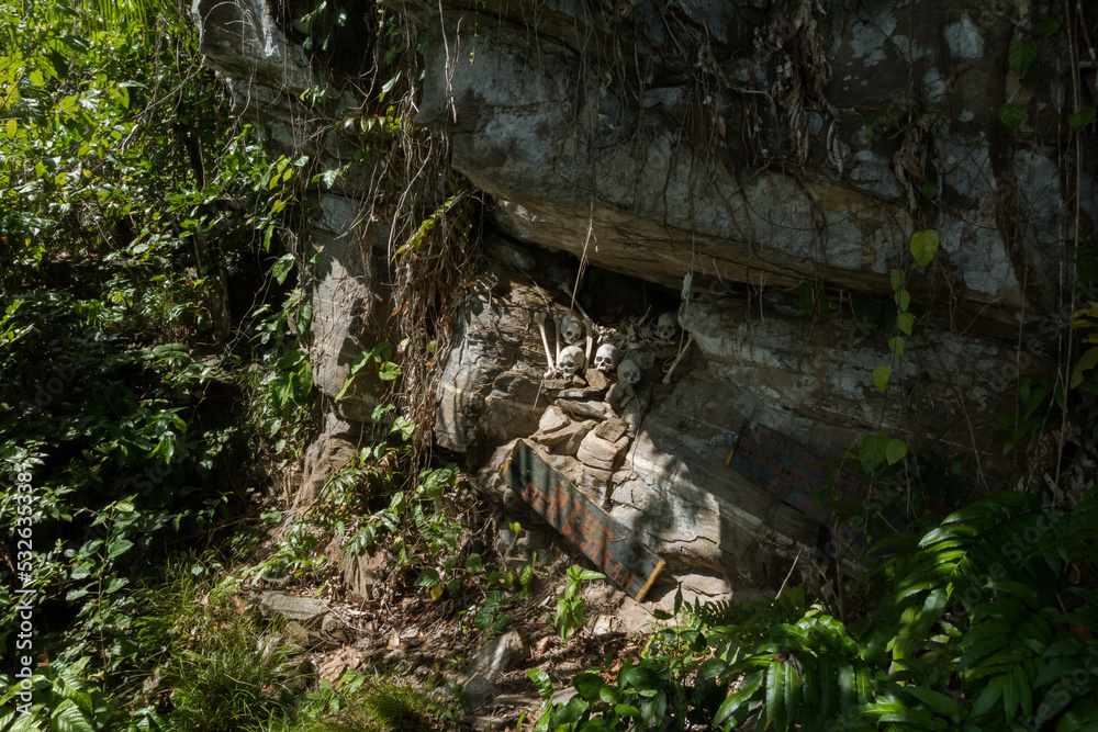 The skull in the old grave, this cave is located in Yende, Roon island ...