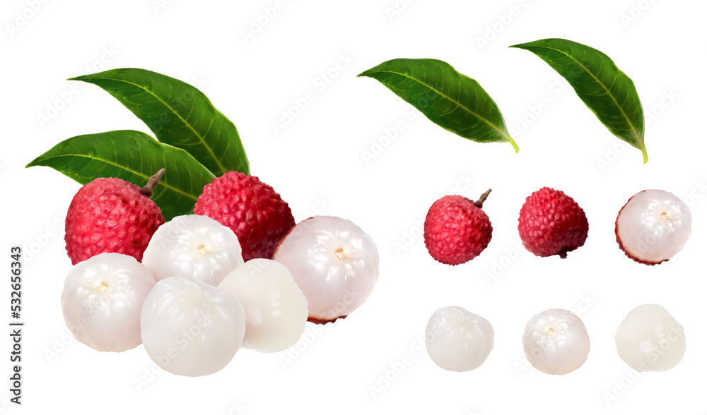 Shelled and unshelled lychees set Stock Vector | Adobe Stock