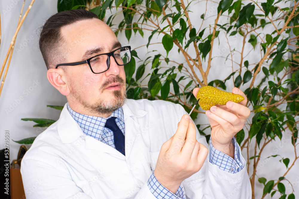 Doctor and pancreas. Doctor at appointment shows patient anatomical ...