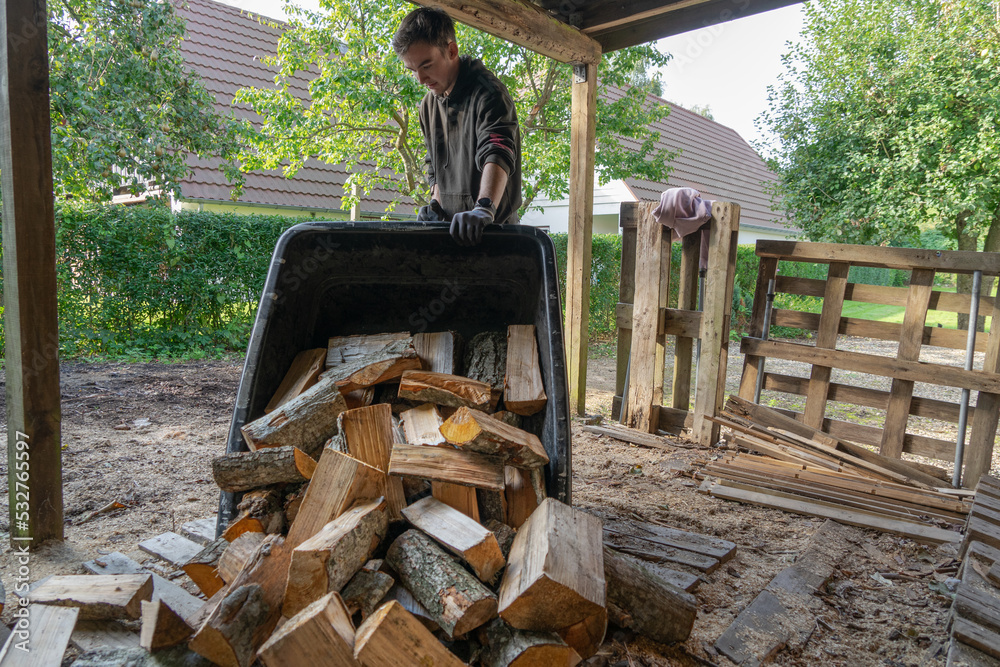 Building a winter stockpile of firewood: Unloading a trailer full of ...