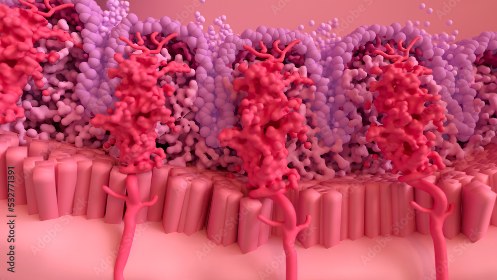 Menstrual Cycle, Bleeding Menstrual Period. Menstruation phases ...