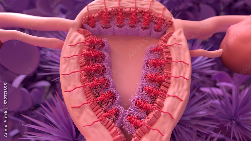 Menstrual Cycle, Bleeding Menstrual Period. Menstruation phases ...