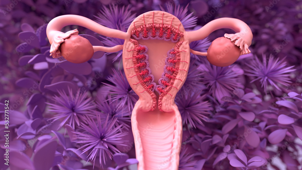 Menstrual Cycle, Bleeding Menstrual Period. Menstruation phases ...