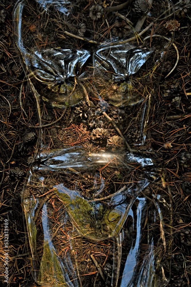 Body form appearing from forest floor. A metaphor for Mother Nature ...