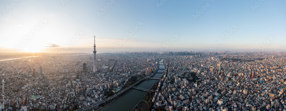 High altitude panoramic view over Tokyo city Japan in the morning. Asia ...
