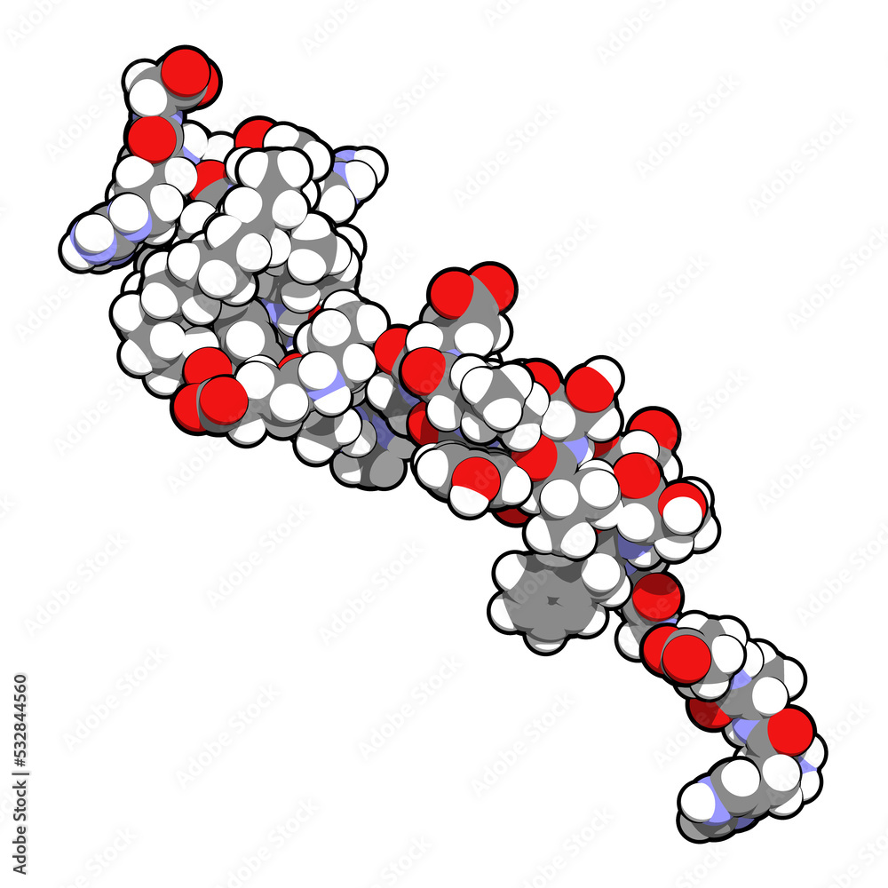 Liraglutide peptide drug molecule. Agonist of the glucagon-like peptide ...