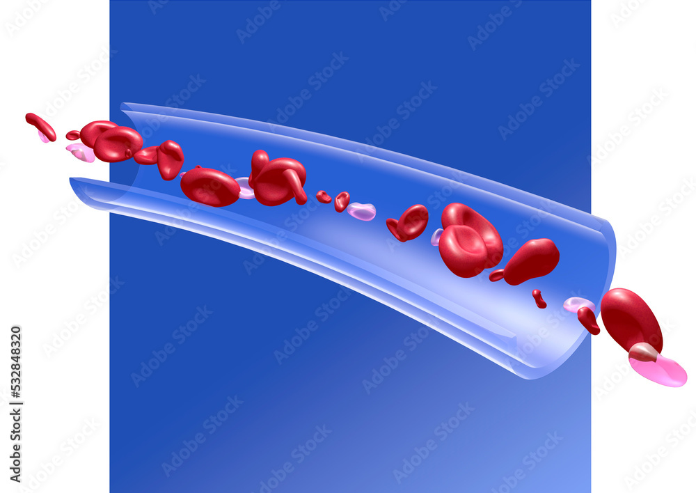 Anatomical 3d illustration of red blood cells in blood circulation ...