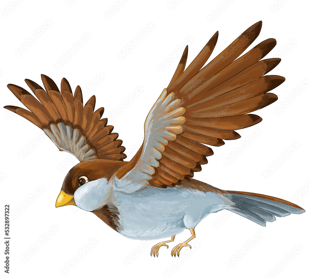 Cartoon exotic colorful bird flying isolated illustration for children ...