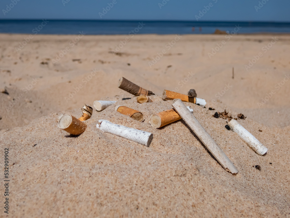 Cigarette butts in the white sand on Baltic sea beach as toxic plastic ...