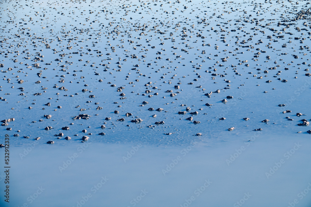 Hydrogen sulfide stagnant salt marsh. Gas turns turbid-blue in water on ...