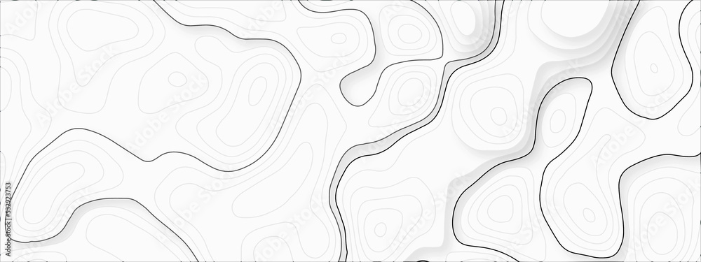 Abstract 3d topographic contours map, Topographic background and ...